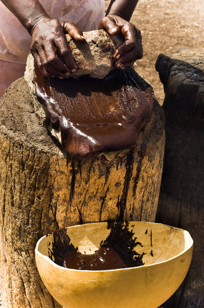 Karité, o fruto sagrado que ajuda mulheres africanas! | Lilian Pacce