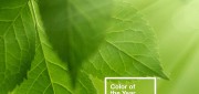 Pantone anuncia a cor de 2017: verde folha! | Lilian Pacce