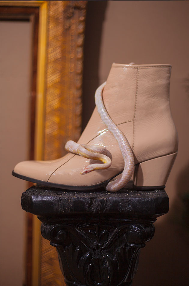 Botinhas de verniz na nova coleção de Lucas Regal! | Lilian Pacce