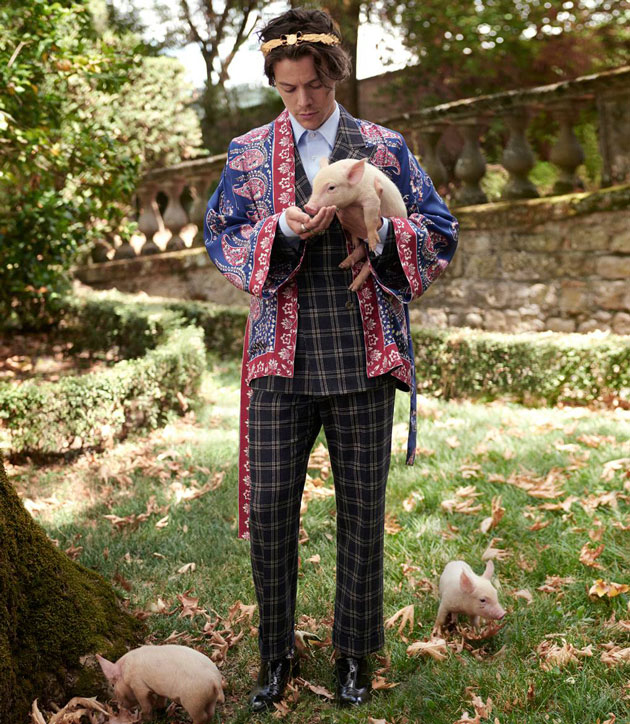 Harry Styles com pets pra Gucci - Lilian Pacce